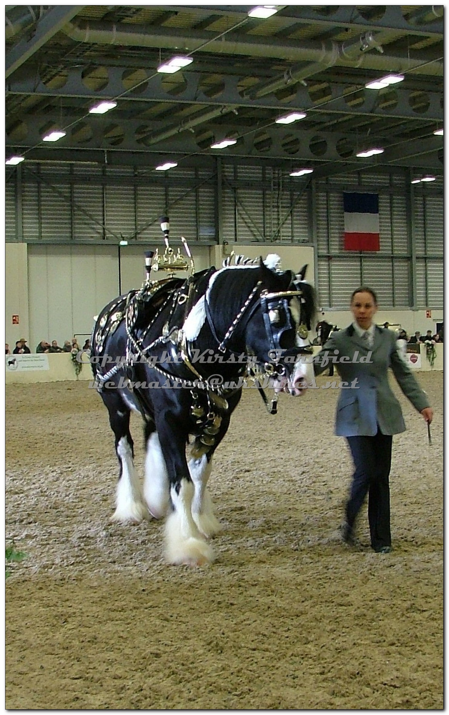 Peterborough National Shire Horse Show 2012